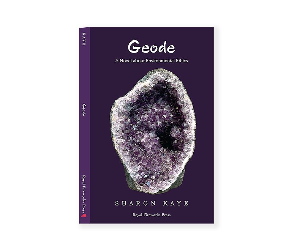 Books for Gifted Children from Royal Fireworks Press